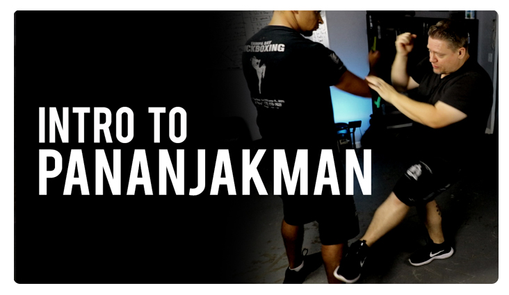 Panantukan - Level 1 Course